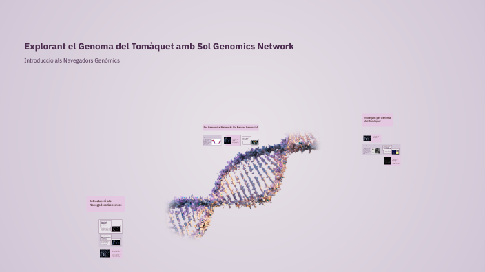 Explorant el Genoma del Tomàquet amb Sol Genomics Network by Irma Roig Villanova on Prezi