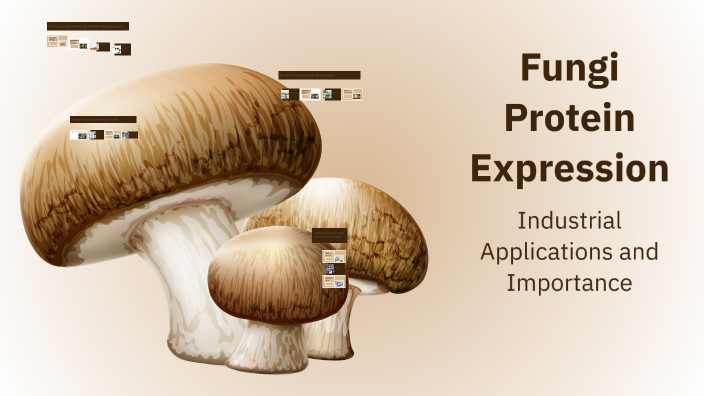 Fungi Protein Expression by Medi Ssa on Prezi