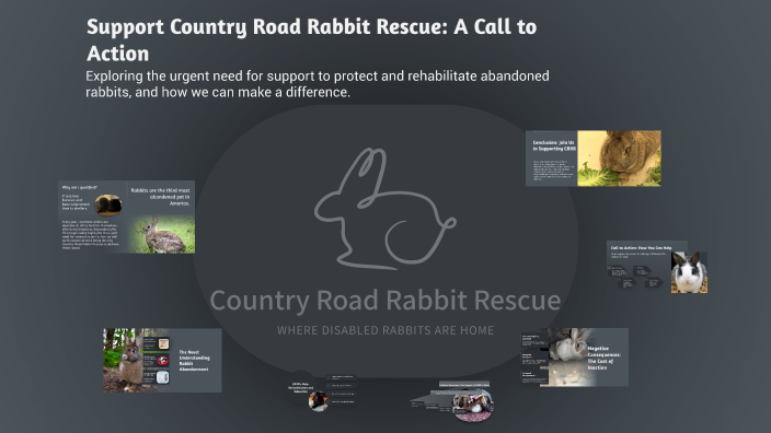 Support Country Road Rabbit Rescue: A Call to Action by william m on Prezi