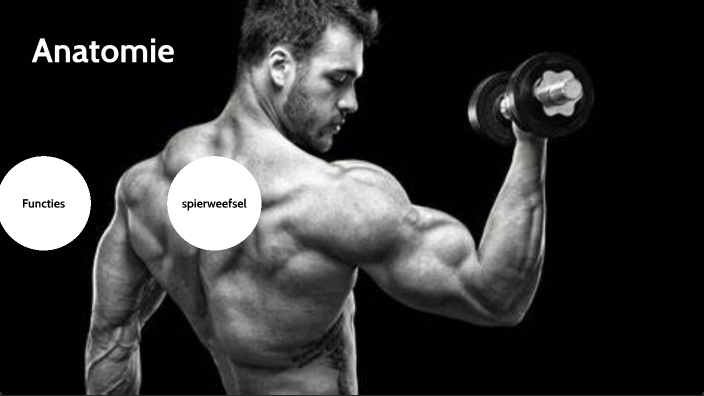 anatomie by Vic Dereere on Prezi