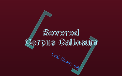 Split-Brain Patients and The Effects of a Severed Corpus Callosum by ...