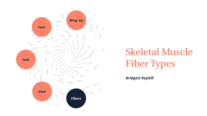 Skeletal Muscle Fiber Types by Bridgett Rayhill on Prezi