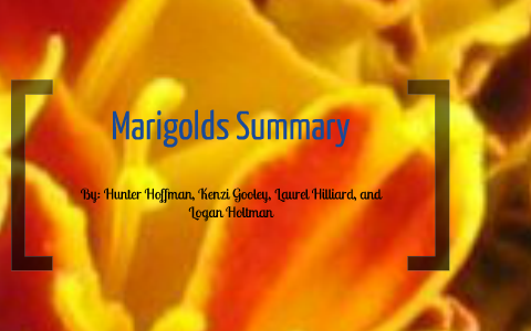 Marigolds Summary by Nota Realname on Prezi