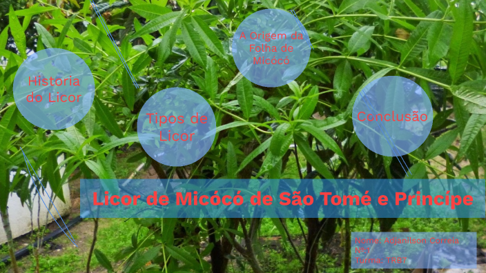 Licor de Micócó de São Tomé e Príncipe by Adjanilson Alves on Prezi