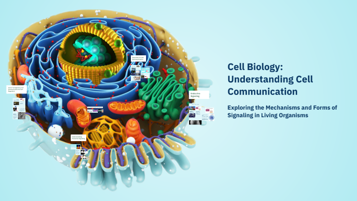 Cell Biology: Understanding Cell Communication by Trang Thuỳ on Prezi