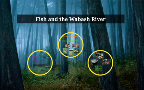 Fish and the Wabash River by Shan'te Benamon on Prezi