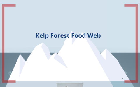 Kelp Forest Food Web by Andrea Fragoza on Prezi