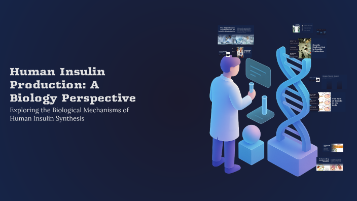 Human Insulin Production: A Biology Perspective by ridh basheer on Prezi