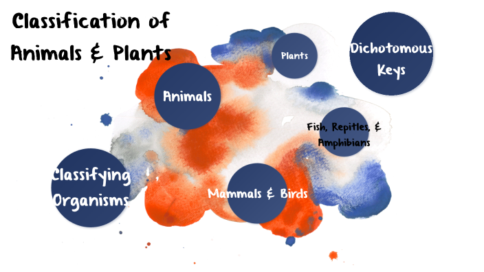 Classification of Animals & Plants by Madyson Richards on Prezi