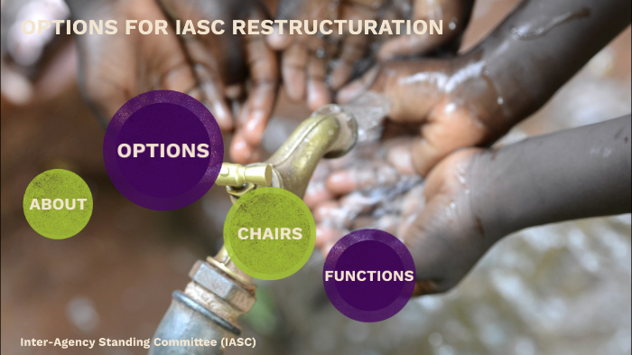 IASC STRUCTURE by Grand Bargain on Prezi