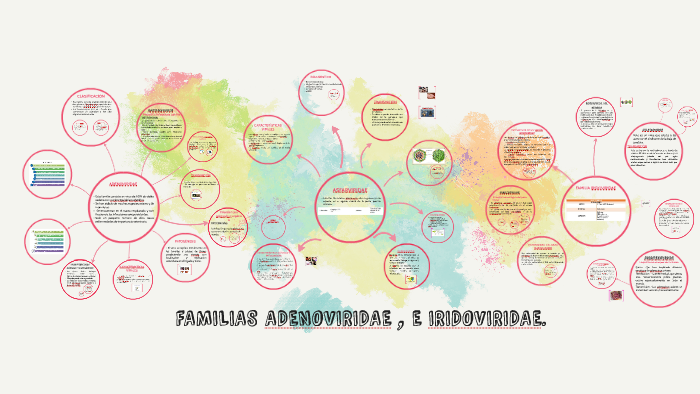FAMILIA ASFARVIRIDAE by Allisson Plaza on Prezi