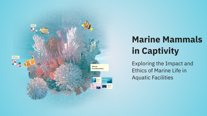 Marine Mammals in Captivity by sara9793 sara9793 on Prezi