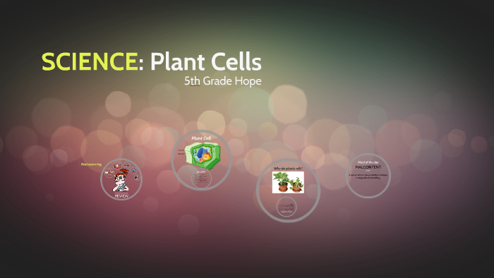 SCIENCE: Cell Structures by Gibran Hunt