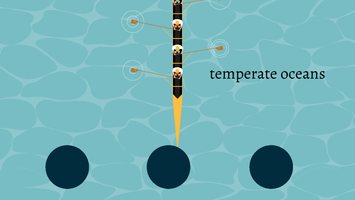 temperate oceans by lacey barrows on Prezi