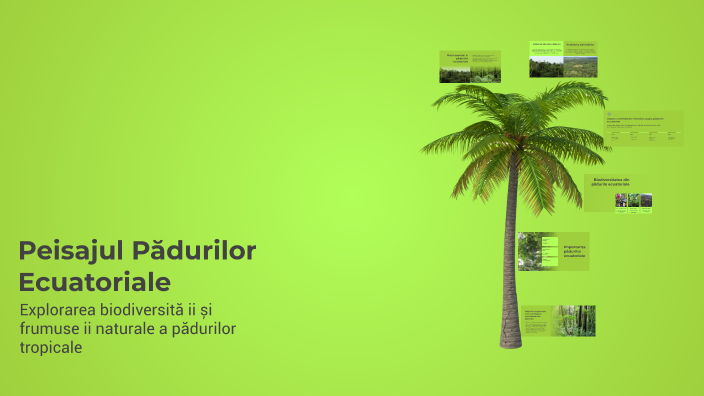 Peisajul Pădurilor Ecuatoriale by Vacea Florin on Prezi