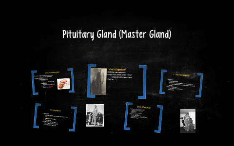 Pituitary Gland (Master Gland) by Alondra Garcia on Prezi
