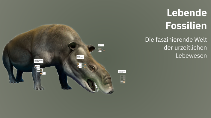 Lebendes Fossil Definition