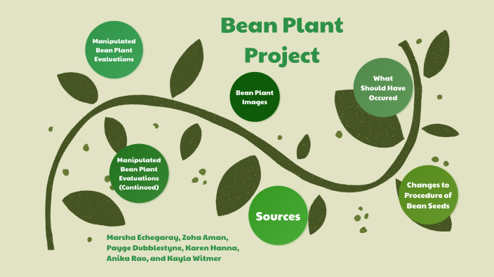 Bean Plant Project by Payge Dubblestyne on Prezi