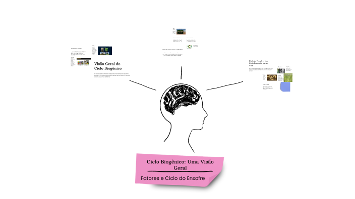 Ciclo Biogênico: Uma Visão Geral by Felipe Silva on Prezi