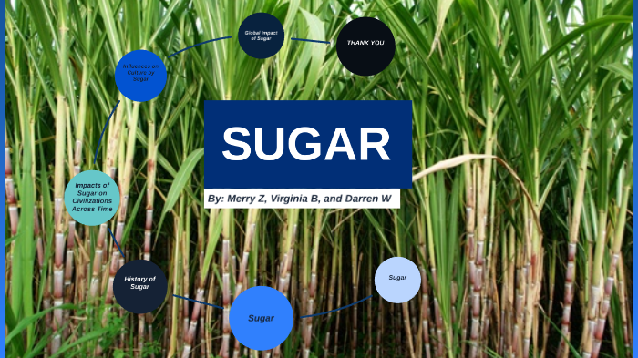 SUGAR by MERRY ZEBRO on Prezi
