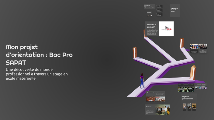 Mon projet d'orientation : Bac Pro SAPAT by louane delhorme on Prezi