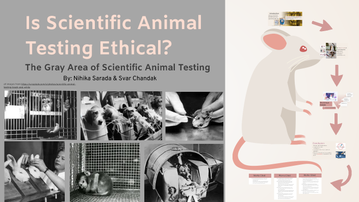 The Gray Area of Scientific Animal Testing by Nihika S on Prezi