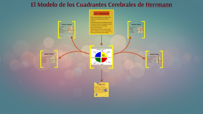 El Modelo de los Cuadrantes Cerebrales de Herrmann by Eva Campos on Prezi