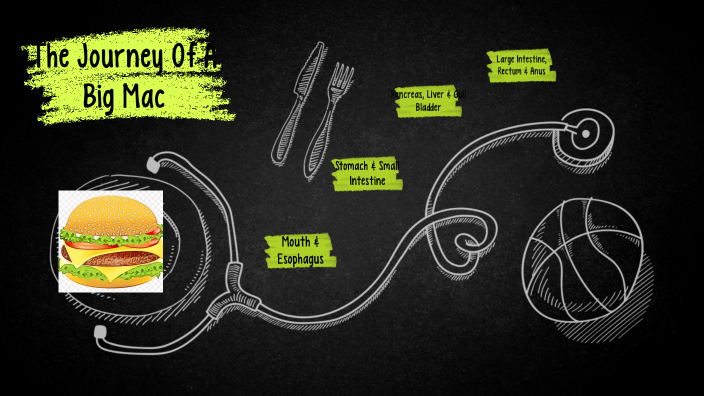 The Epic Journey Of A Big Mac by Kaleb Binner on Prezi