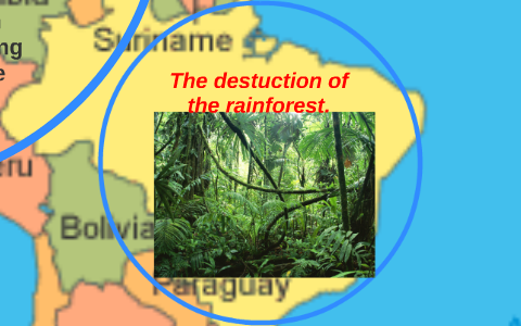The destuction of the rainforest. by Nathan Yelland on Prezi