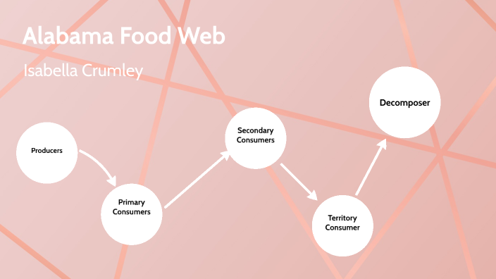 Alabama Food Web by taylor davis on Prezi