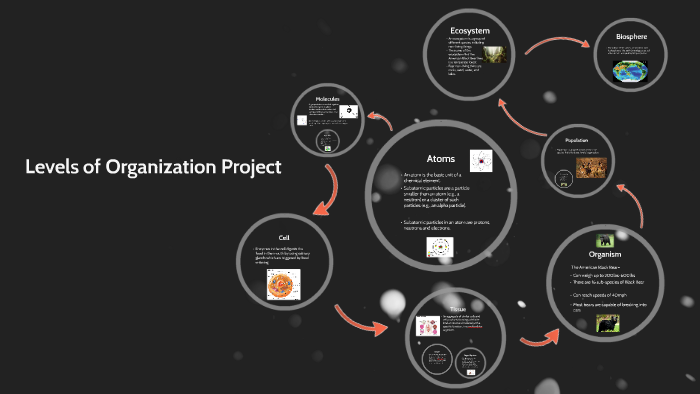 Levels of Organization Project by Kris Frank on Prezi