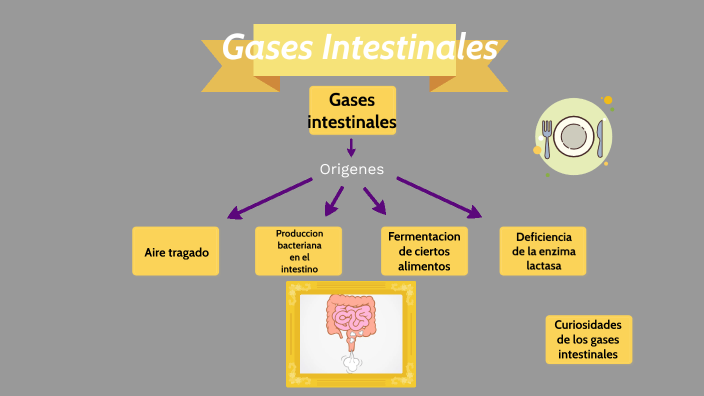 Gases intestinales by Alex García González on Prezi