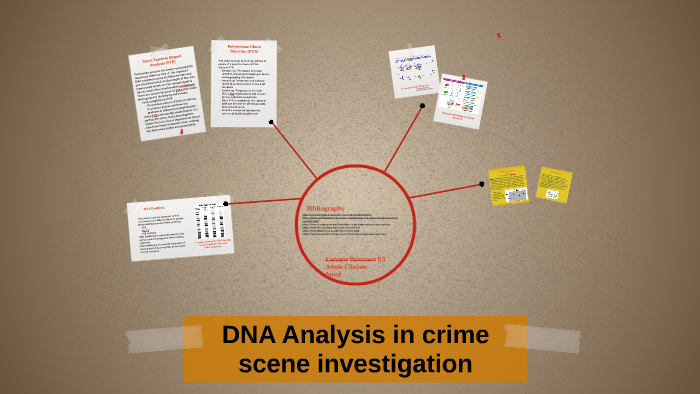 DNA Analysis in crime scene investigation by Connor Brannon on Prezi