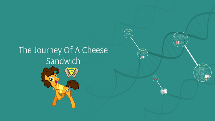 The Journey Of A Cheese Sandwich Through Digestion by Caroline Bay on Prezi