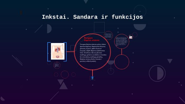 Inkstai.Sandara ir funkcijos by karolina kostinaite on Prezi