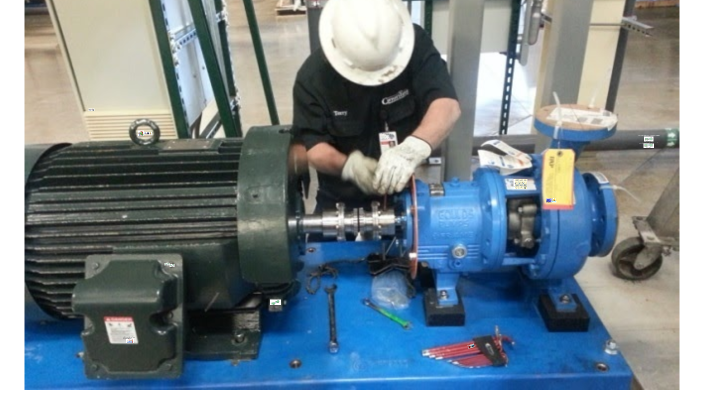 Miss Alignment by showy ulum on Prezi