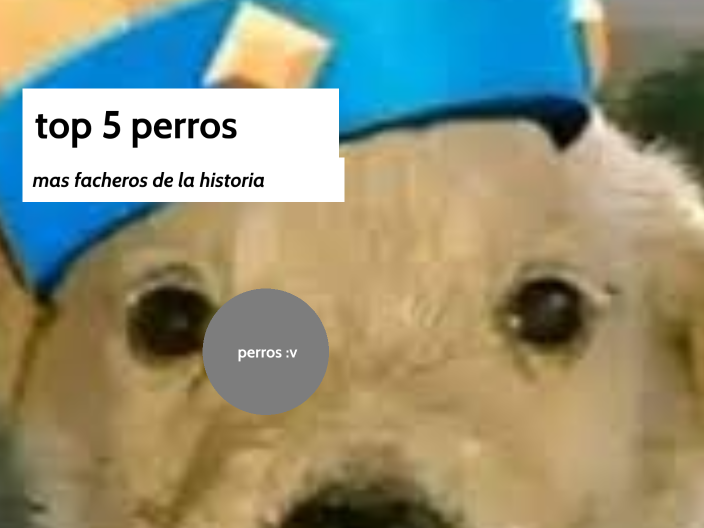 top 5 perros mas facheros de la historias by francesco forsini on Prezi