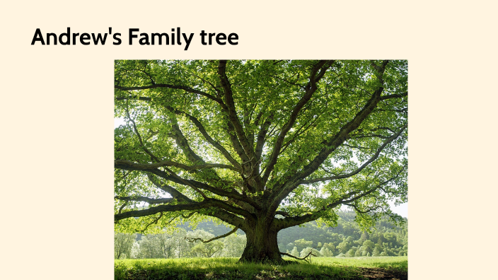 Andrew's Family Tree by Andrew DeValcourt on Prezi