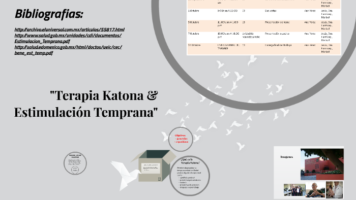 "Terapia Katona & Estimulación Temprana" by ana pérez on Prezi