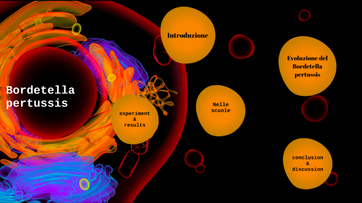 Bordetella pertussis by selma riahi on Prezi