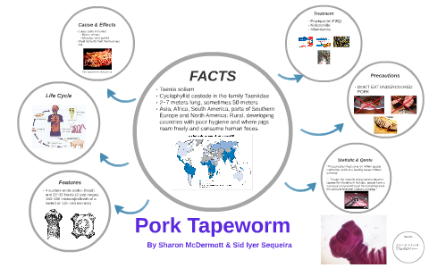 Pork Tapeworm by Sharon McDermott on Prezi
