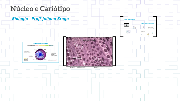 Aula 20 - Bio 1 - Núcleo e Cariótipo by Juliana Braga on Prezi