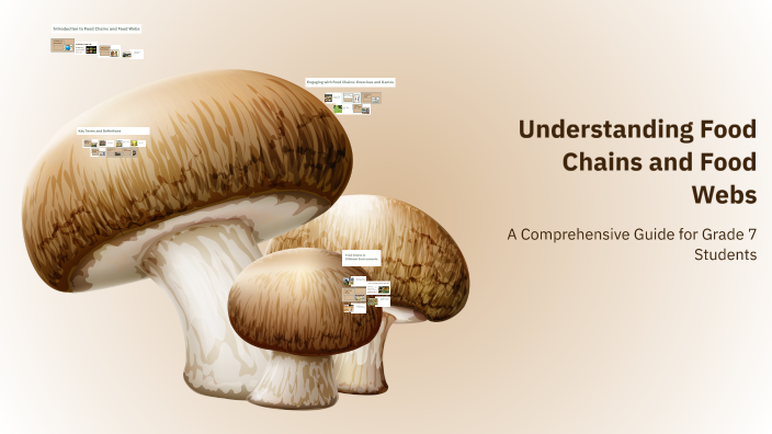 Understanding Food Chains and Food Webs by Hồng Hạnh Nguyễn on Prezi