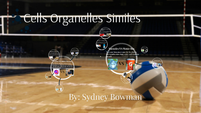 Cells Organelles Similes by Sydney Bowman on Prezi
