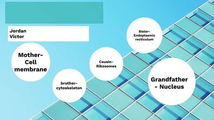 My Cell Family by Kailie Victor on Prezi