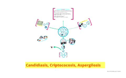 Candidiasis, Criptococosis, Aspergilosis by Jo Paniagua on Prezi