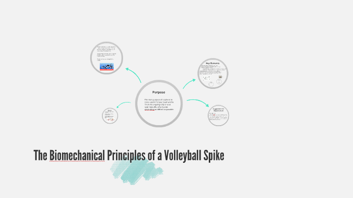 The Bio mechanical principles of a Volleyball Spike by Kenzie Erwin on ...