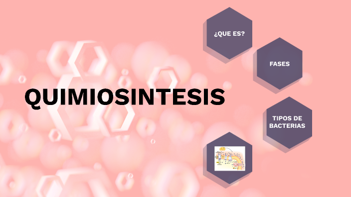 QUIMIOSINTESIS by Nidia Sanchez on Prezi