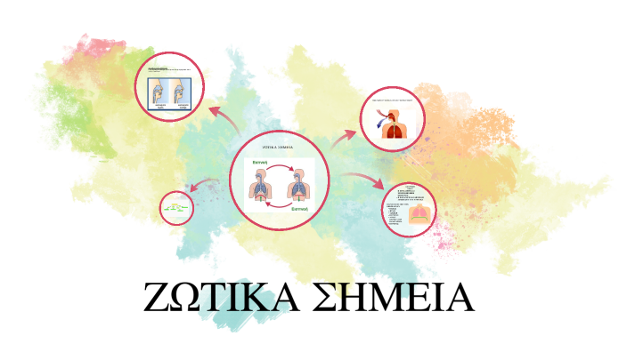 ΖΩΤΙΚΑ ΣΗΜΕΙΑ by JOANNA on Prezi