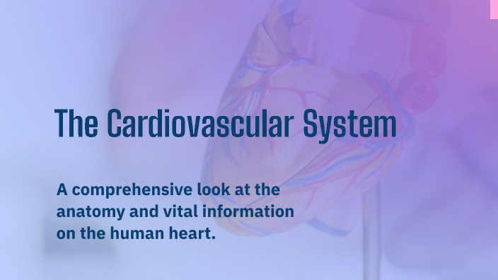 Anatomy final project by ammeyonne smith on Prezi